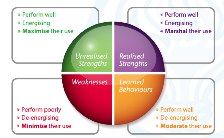 L is for Alex Linley: His Work On Strengths - The Positive Encourager