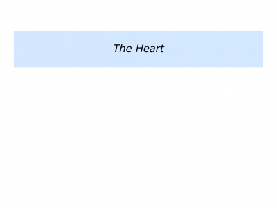 The Heart, Head And Hands Approach - The Positive Encourager