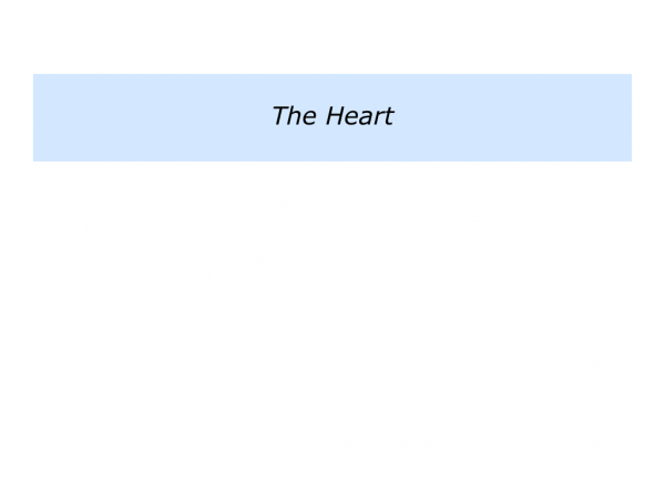 The Heart, Head And Hands Approach - The Positive Encourager
