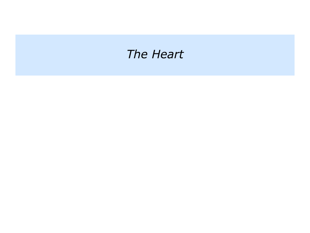 The Heart, Head And Hands Approach - The Positive Encourager