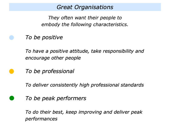 The Values Driven Organisation Approach - The Positive Encourager