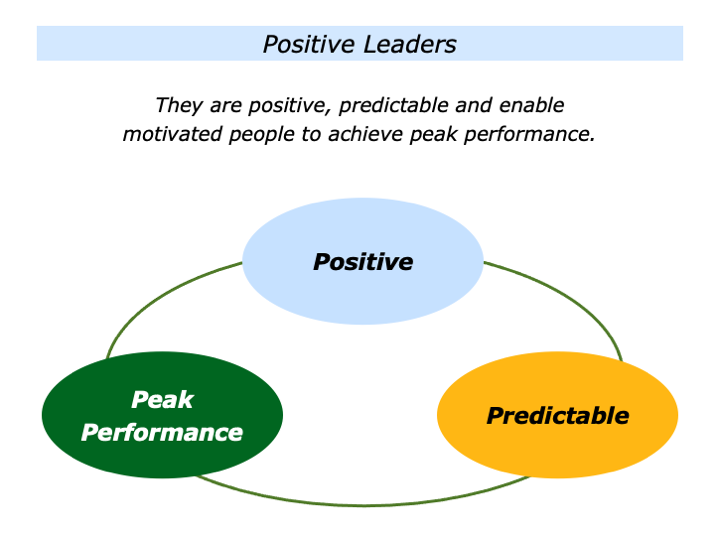 The Positive Leadership Approach - The Positive Encourager