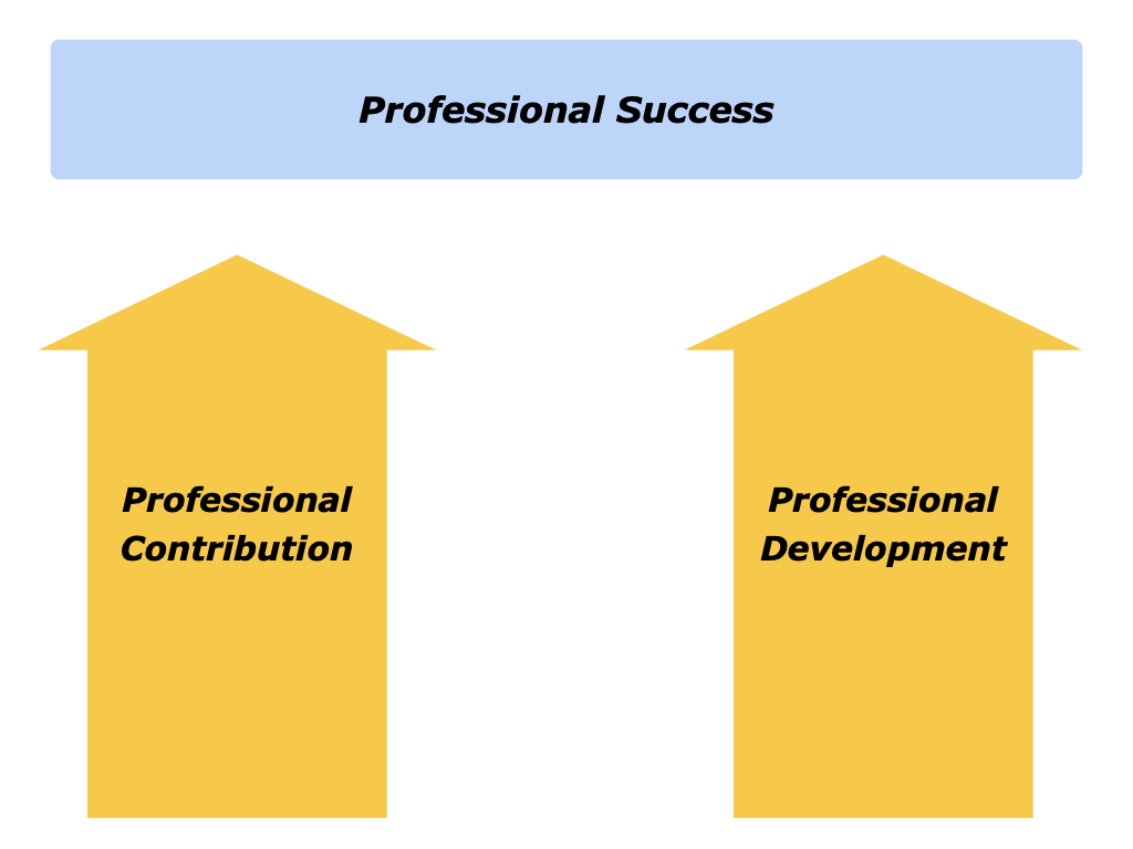 The Professional Success Approach - The Positive Encourager