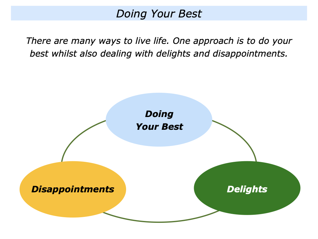 The Doing Your Best Whilst Dealing With Delights And Disappointments ...