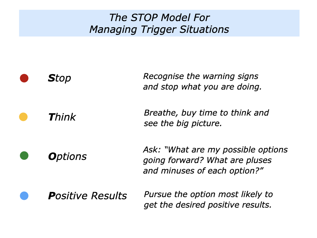 The Seeing Success Approach - The Positive Encourager