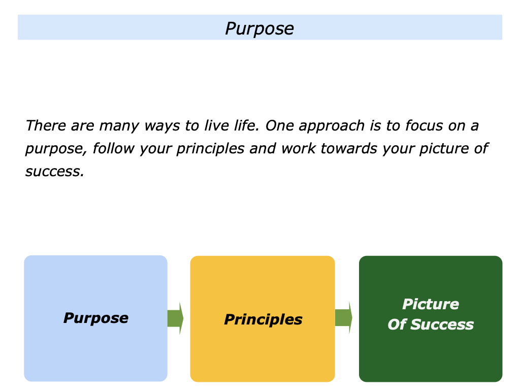 The Purpose, Principles And Picture Of Success Approach - The Positive ...