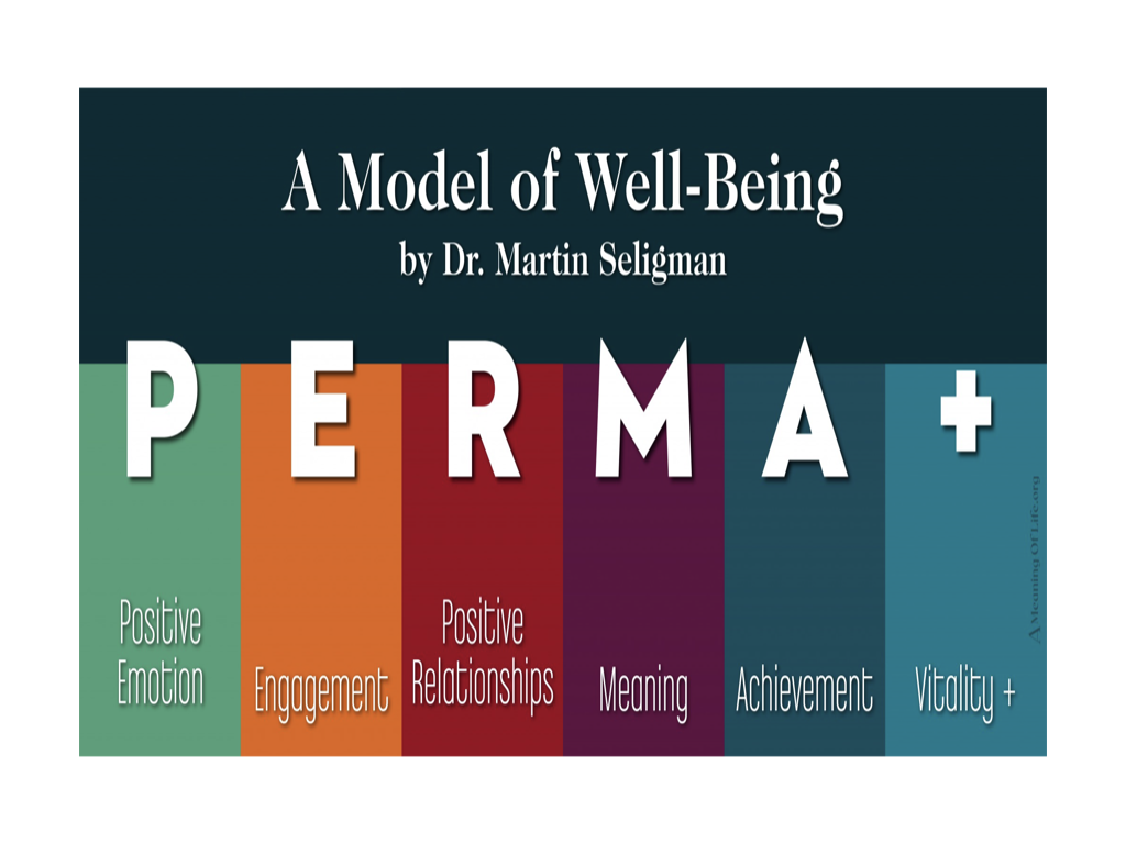 The Striving, Surviving And Thriving Approach - The Positive Encourager